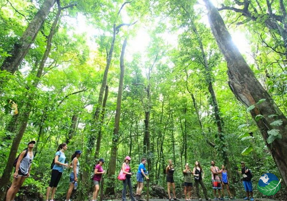 Hotel Santa Teresa, Santa Teresa, Cóbano, Costa Rica